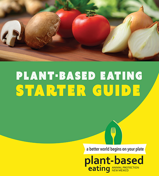 Plant-Based Eating Starter Guide - Peg Ogle Design